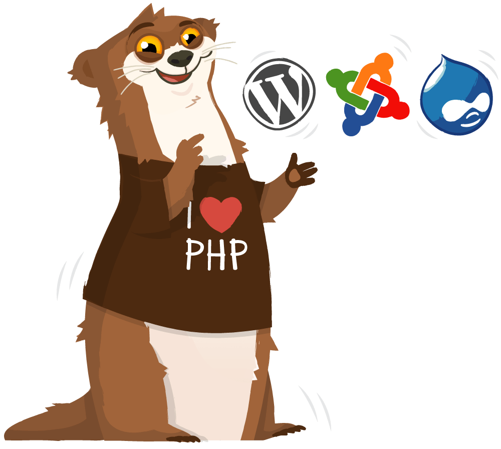 San Diego WordPress & Shopify Custom Web Development